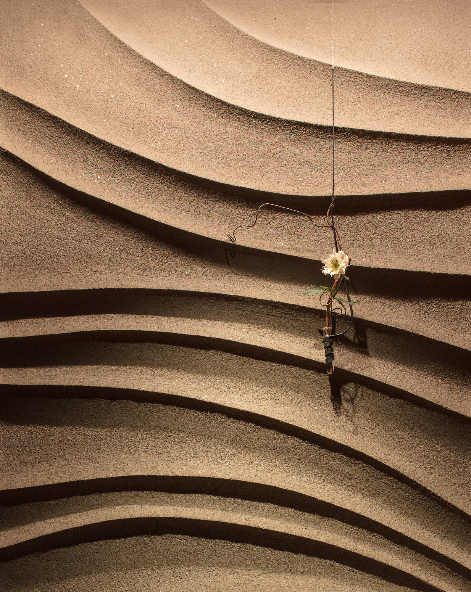 番屋 新宿南口 | PHIL DESIGN/フィルデザイン